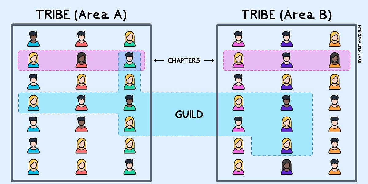 The Anatomy of a Successful Team Squad - · Nevix